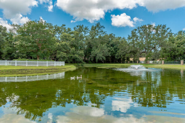 Explore Senior Living Communities & Options in Alabama | Community ...
